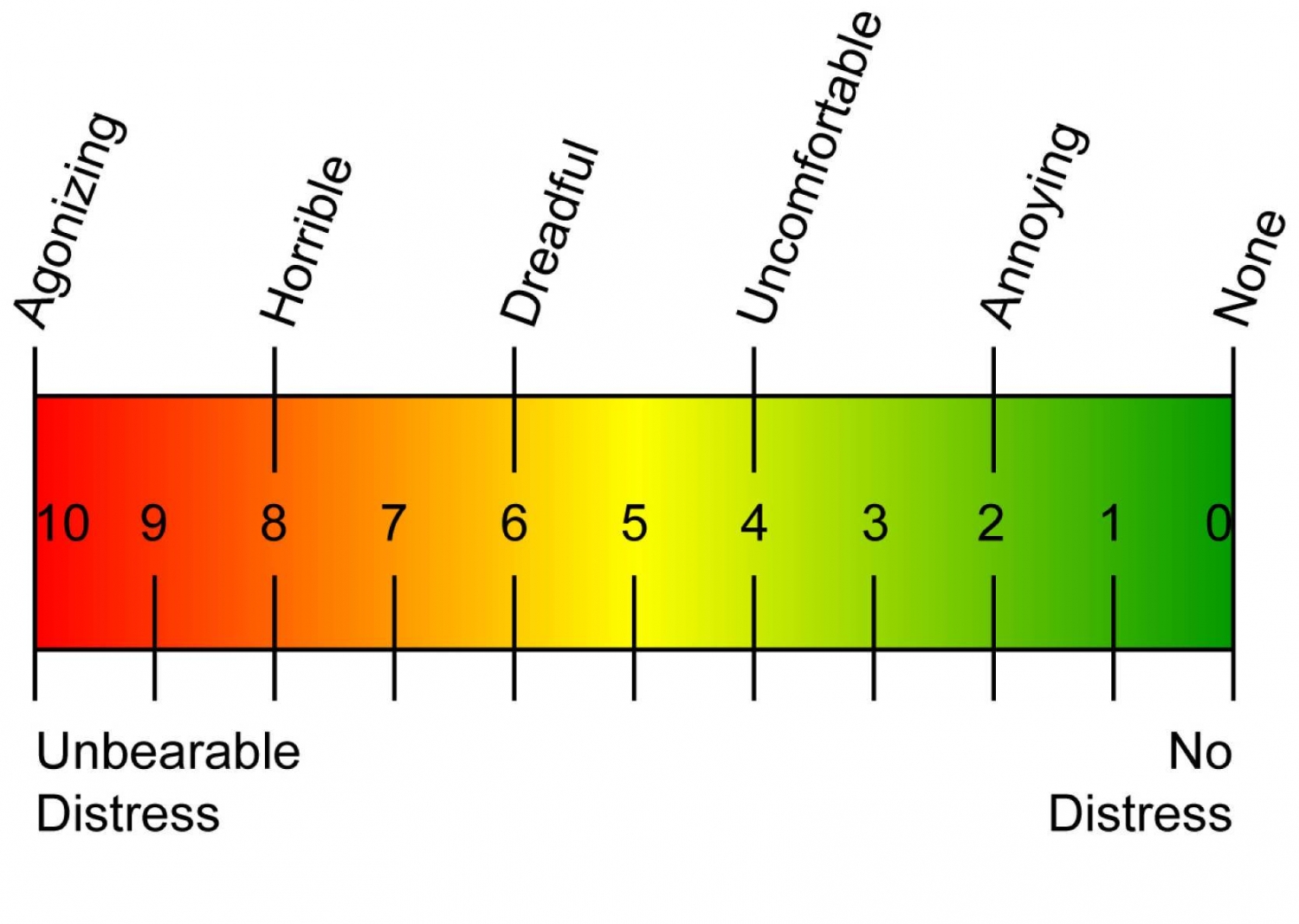 Visual Analog Survey Scale -- A Pain-ful Misnamed Scale