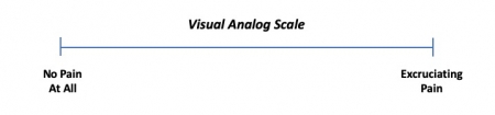 Visual Analog Survey Scale -- A Pain-ful Misnamed Scale